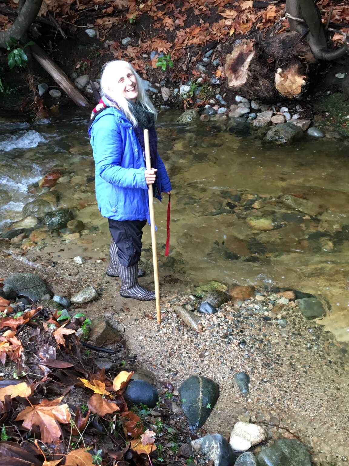 About SCSS – Sunshine Coast Streamkeepers Society